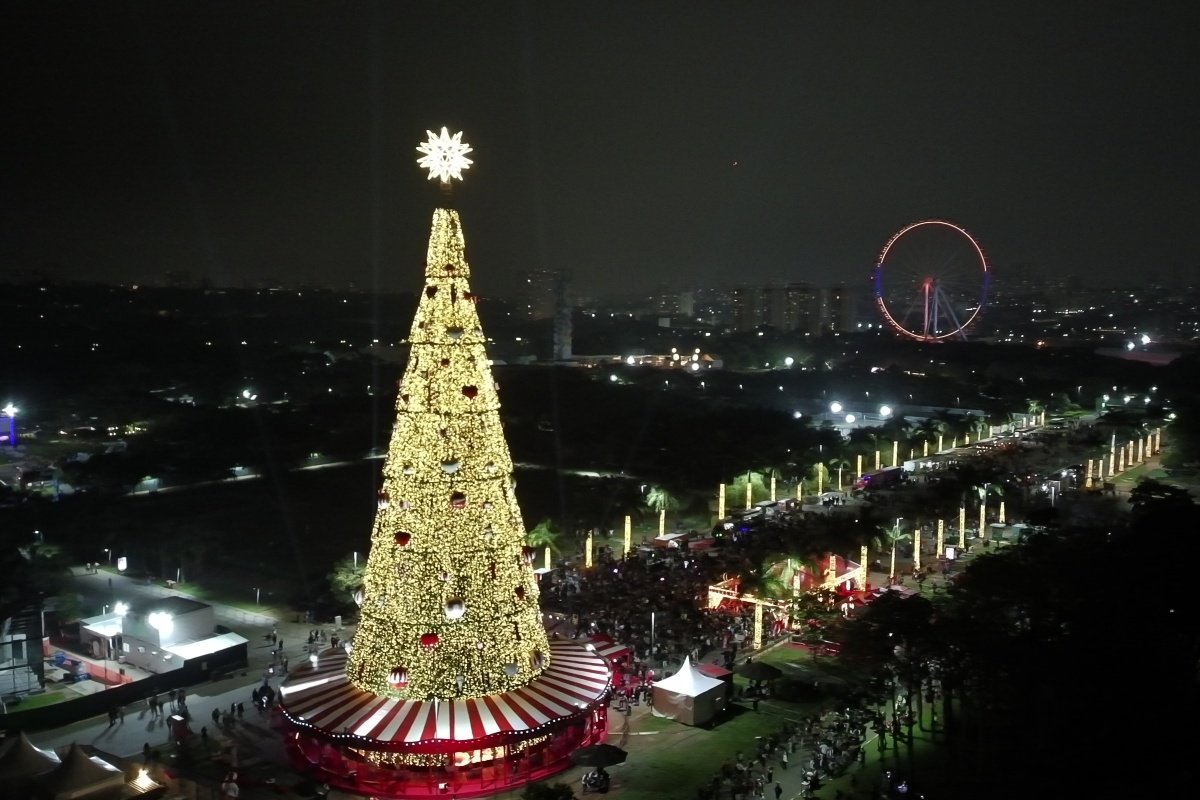 Árvore de Natal gigante com reciclagem e carrossel é inaugurada em SP ...